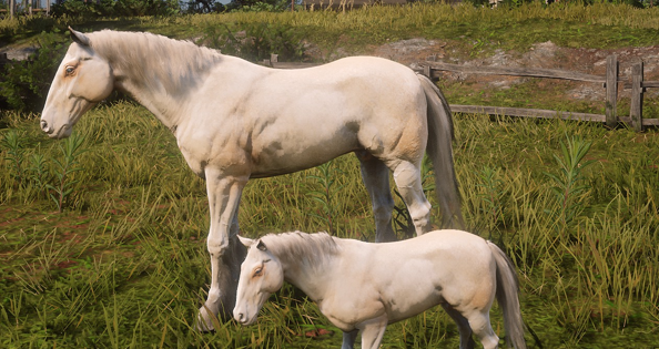 Community Newsletter - 1000 Registered Users! - Announcements - South ...