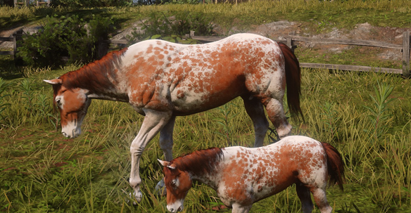 Community Newsletter - 1000 Registered Users! - Announcements - South ...